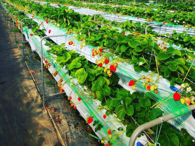 スタッフブログ記事ページ｜北九州市八幡西区で不動産を探すならケイズプレイス