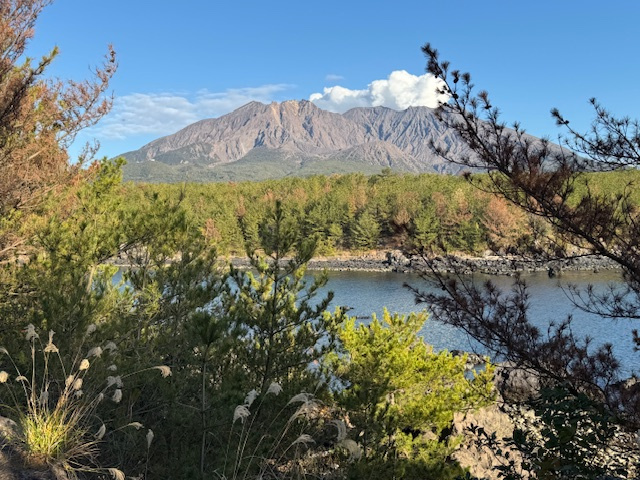 2025 生まれ変わろう｜玉島の土地建物はLIXIL不動産ショップしんくら環境不動産