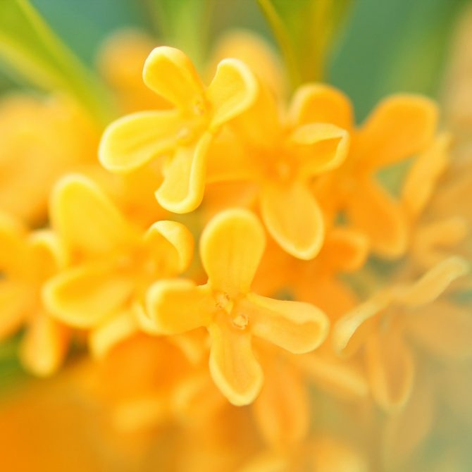 秋の夜長☆｜守山区の不動産売買をお考えならおうちむすび（サンクリエイト株式会社）