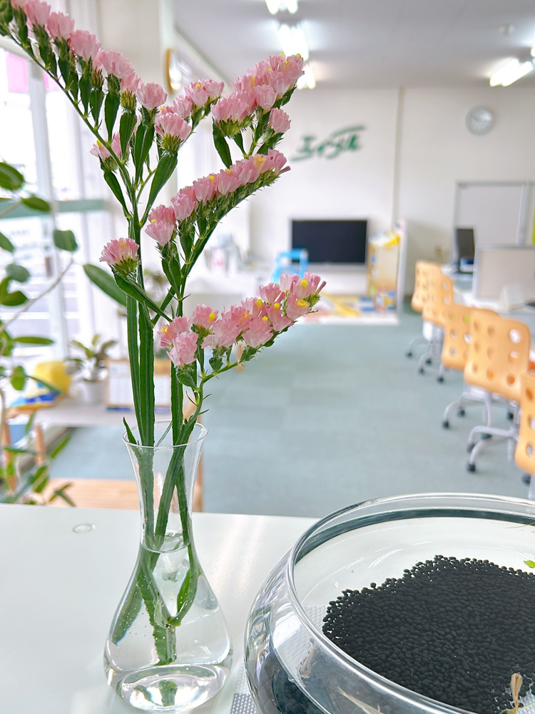 スターチスをお迎えしました！｜松山市・大洲市の賃貸・不動産なら株式会社NYホーム