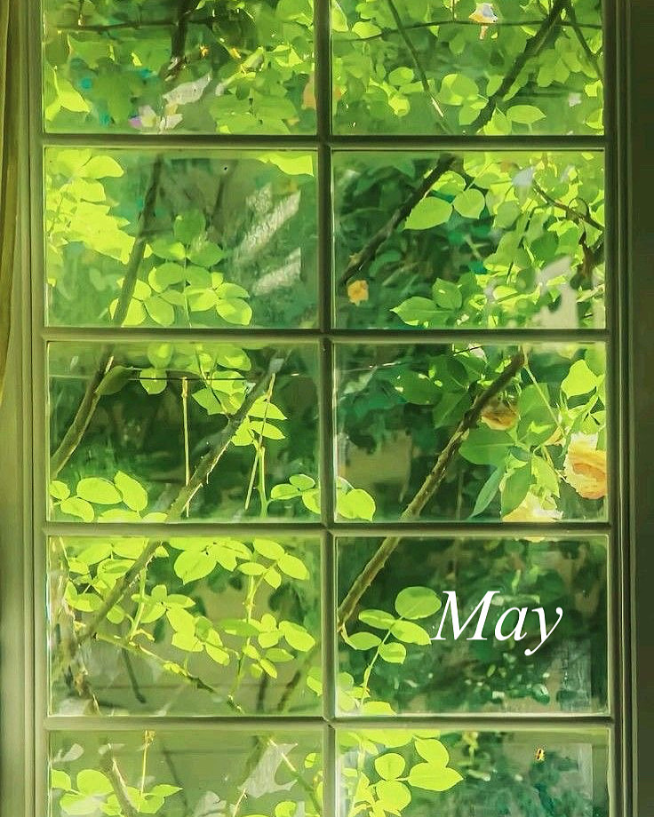 5月の超行動派不動産｜飯塚市の不動産｜株式会社サムライフ